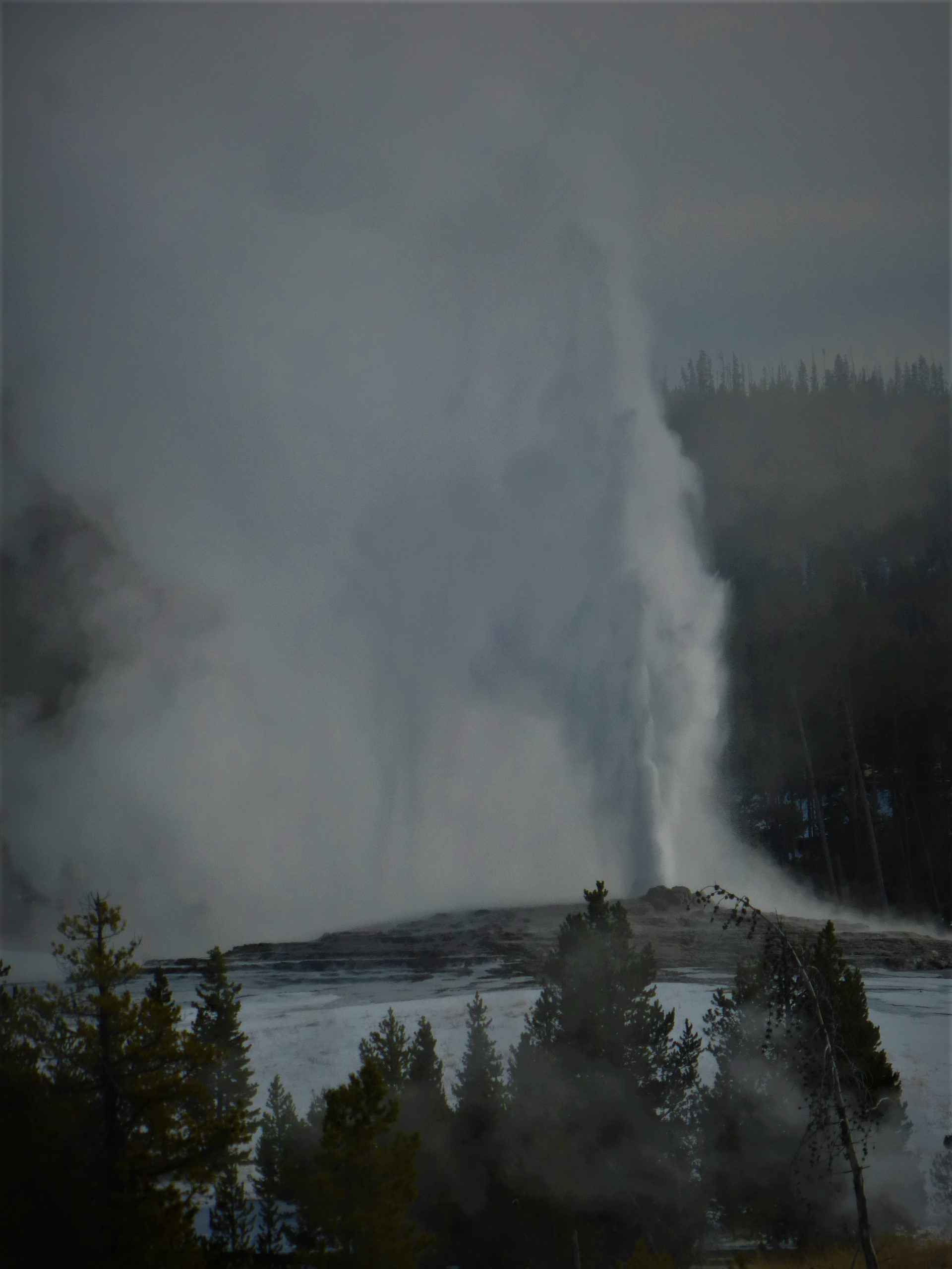 old-faithful – Walkin' Jim Stoltz